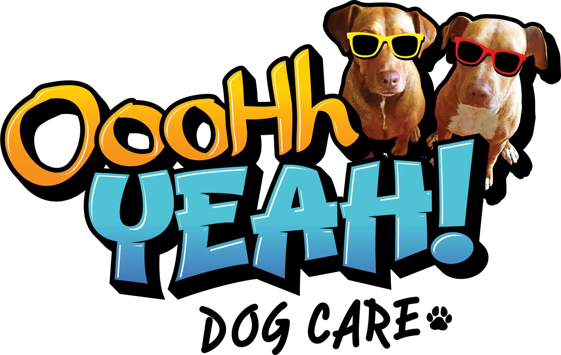 Sydney's Premier Dog Care Services Facility | Ooohh Yeah Dog Care