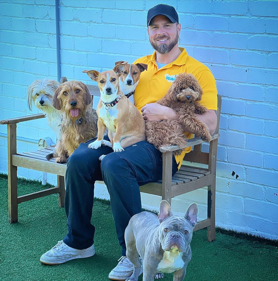 Services - Ooohh Yeah Dog Care - Sydney's Premier Facility