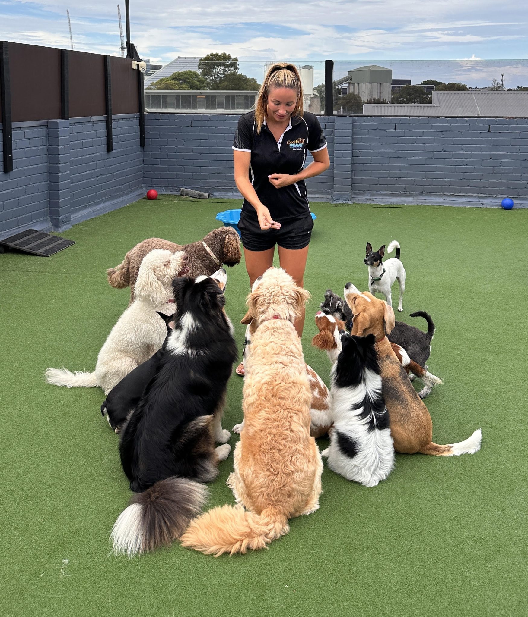 About Us | Ooohh Yeah Dog Care